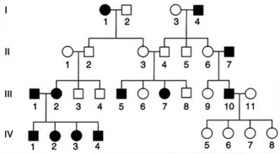 Genetic Reconstruction